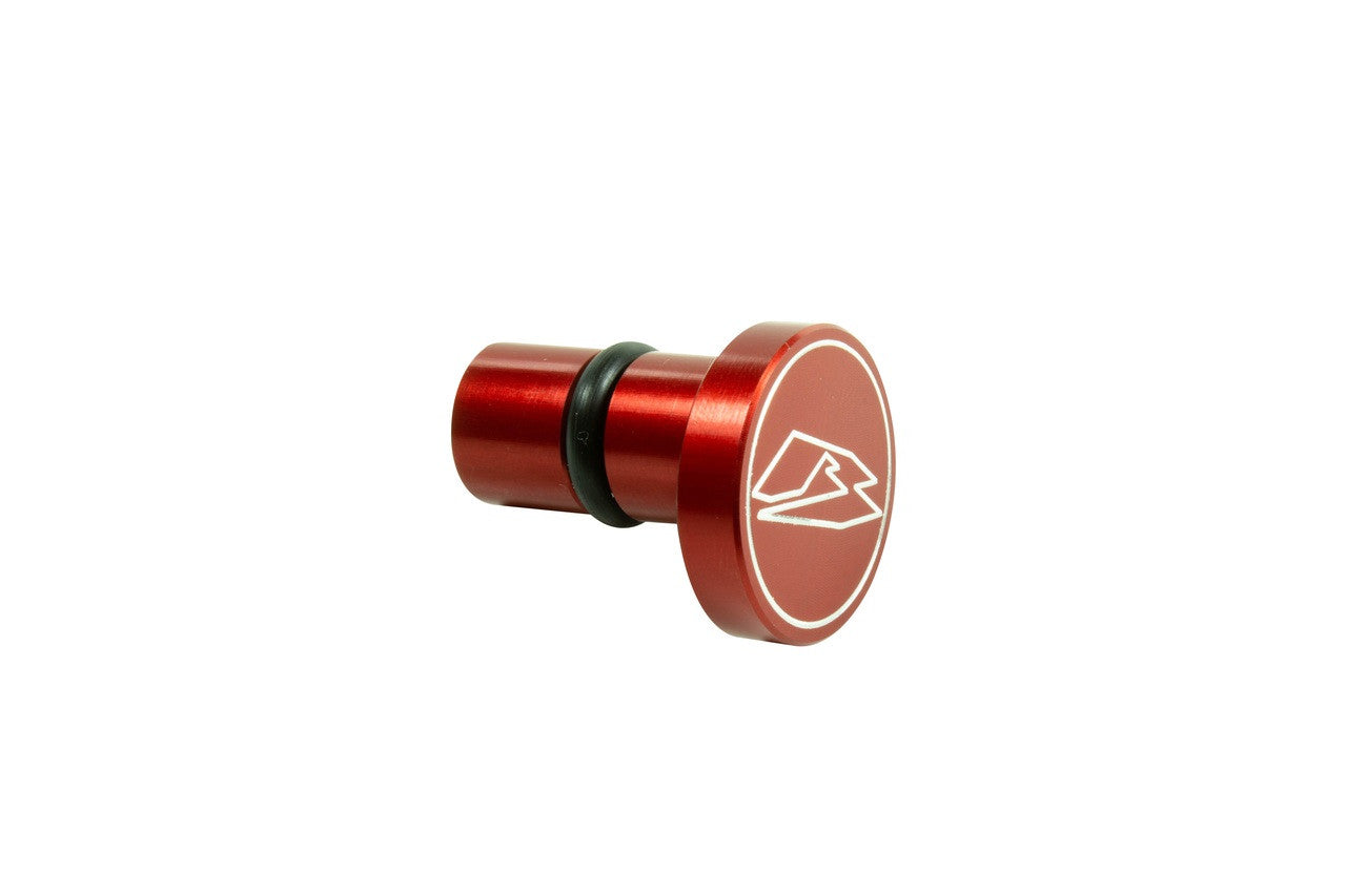 Beta - Steering Lock Plug – TeamMSC