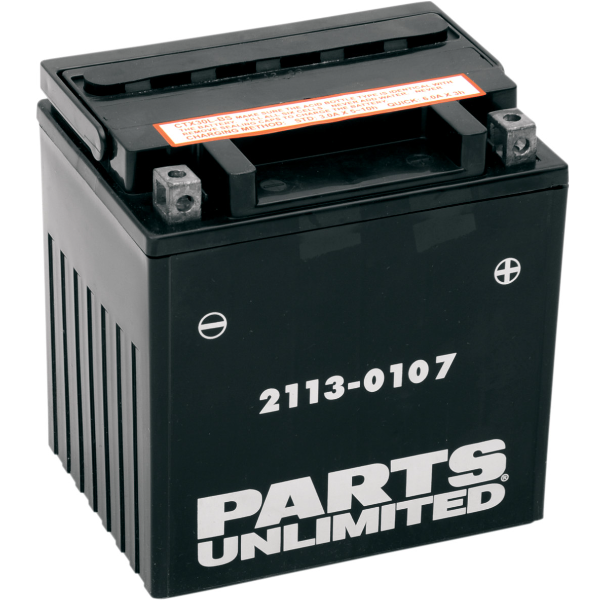 BATTERY - CFMOTO – TeamMSC